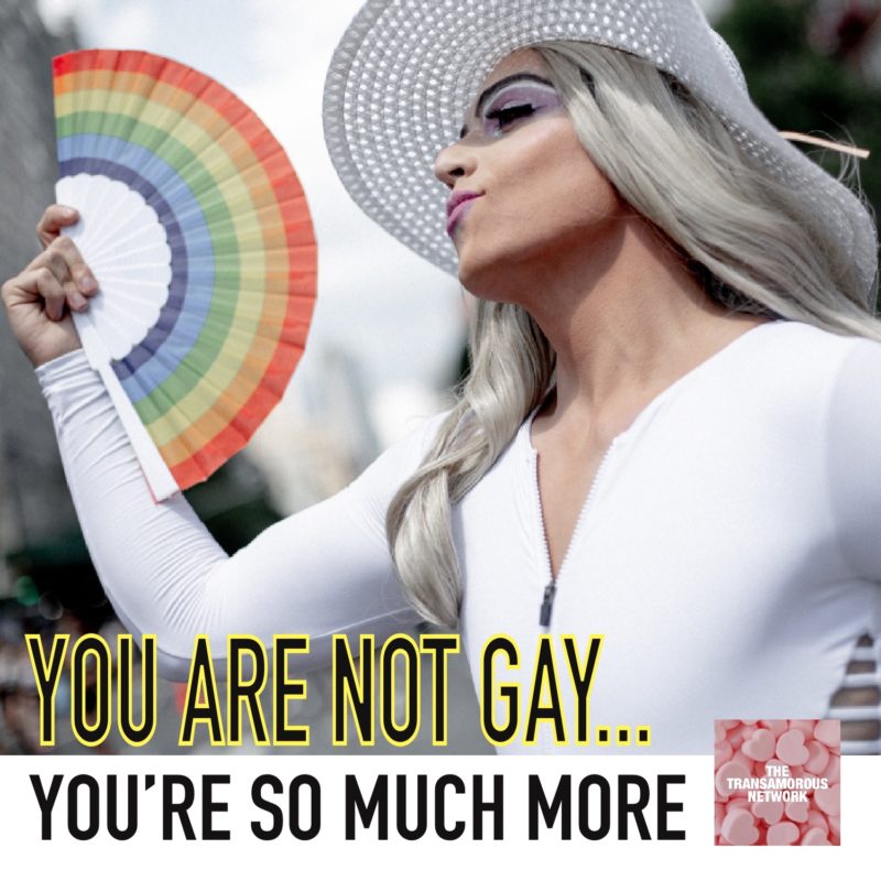 Heterosexuality And Trans Attraction - The Transamorous Network